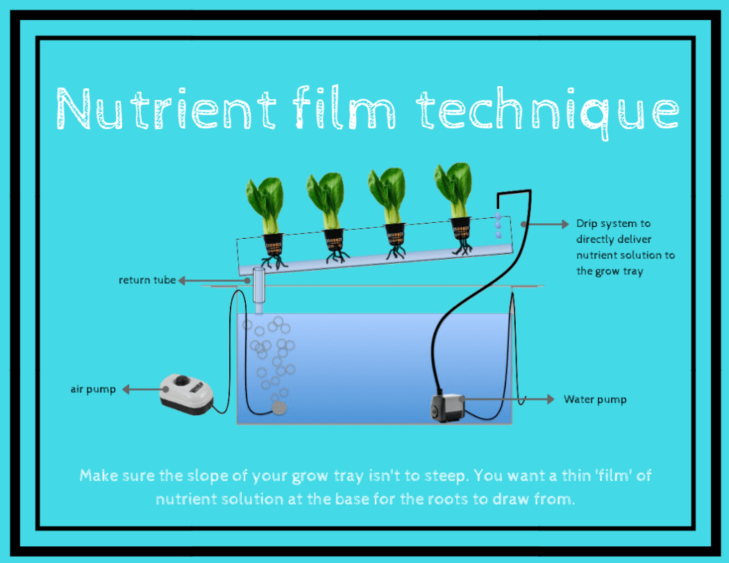 Hydroponic systems: What are they and how do they work? - THE HOMESTUD